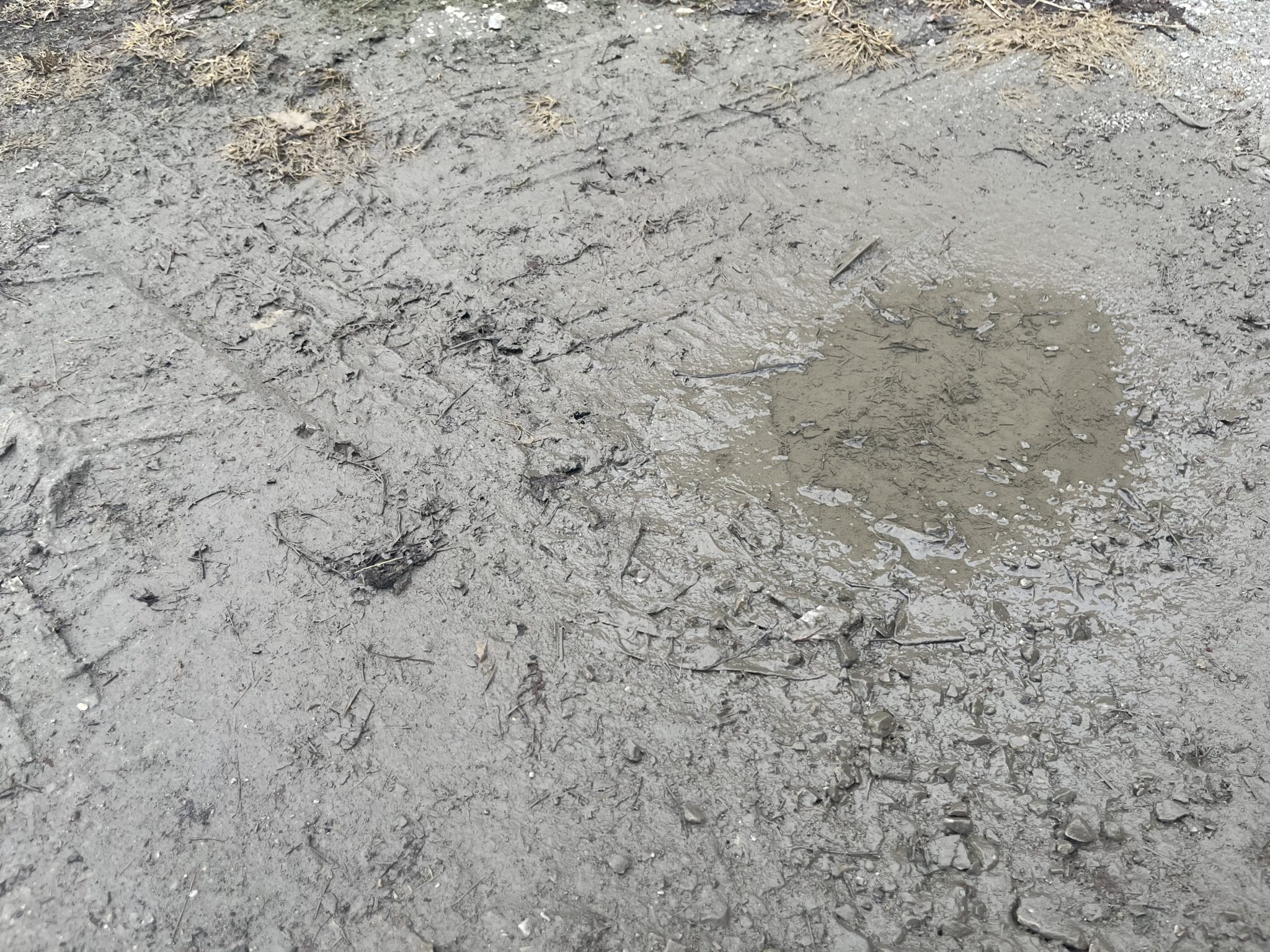 Top 3 Ways to Navigate Vermont's Mud Season - Real Rutland