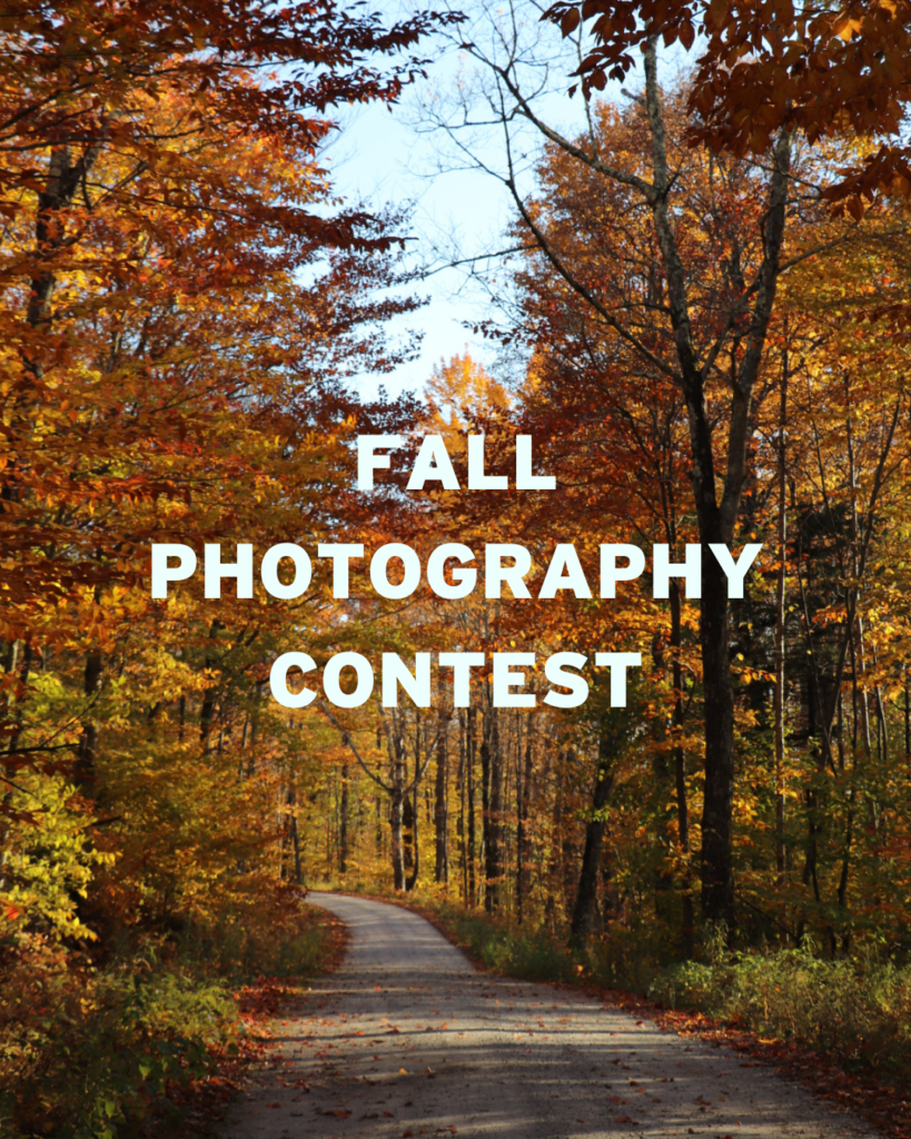 FIVE FALL PHOTOS SNAPPED IN RUTLAND COUNTY